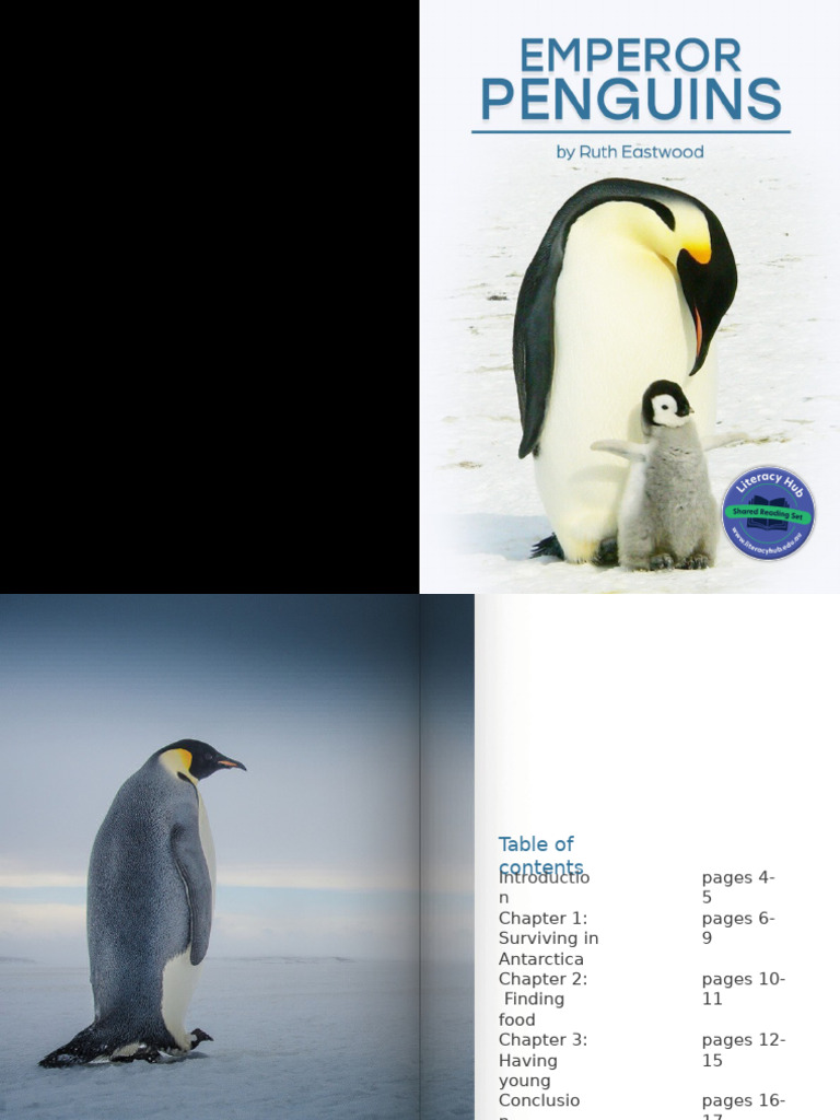 Emperor Penguin Survival and Diet | PDF | Penguin | Birds