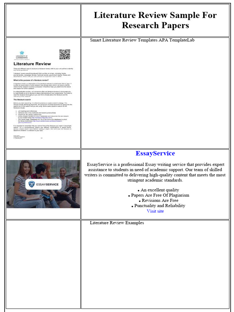 Literature Review Sample For Research Papers | PDF | Essays | Glucose