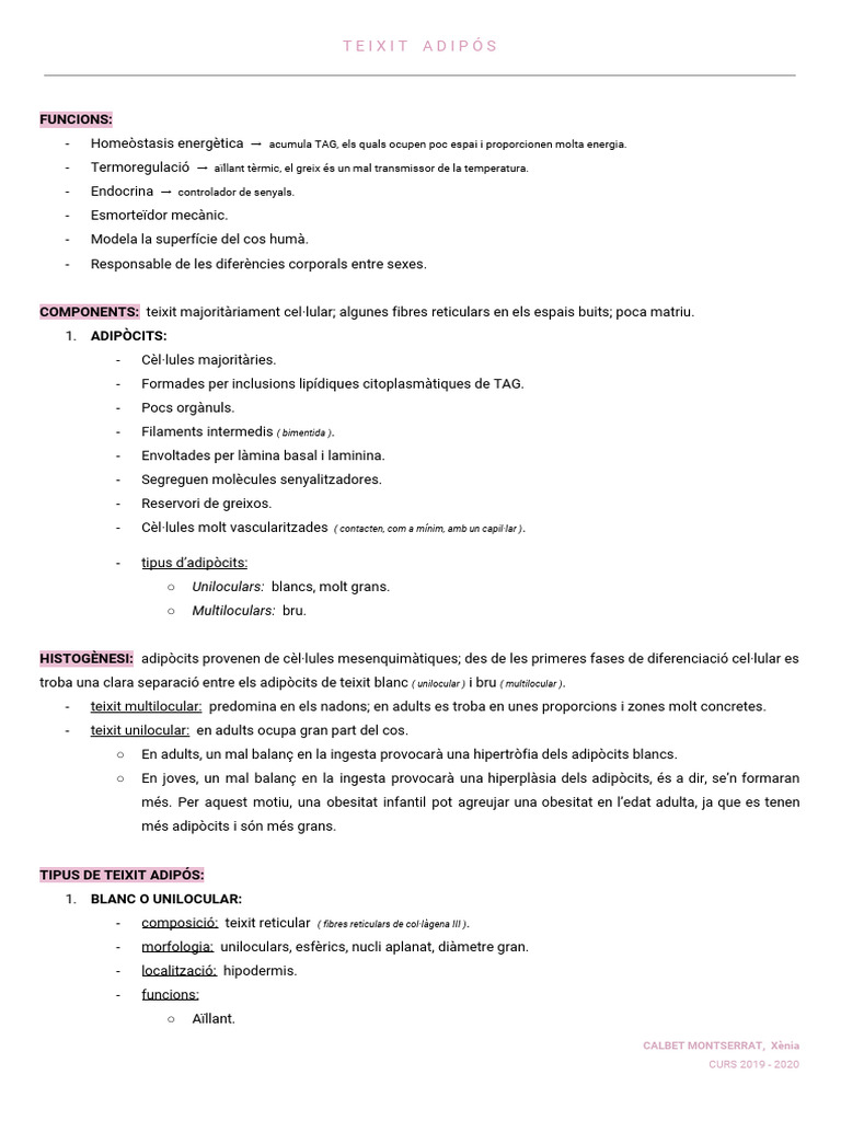 Teixit Adipós Histologia Ciencies Biomediques | PDF