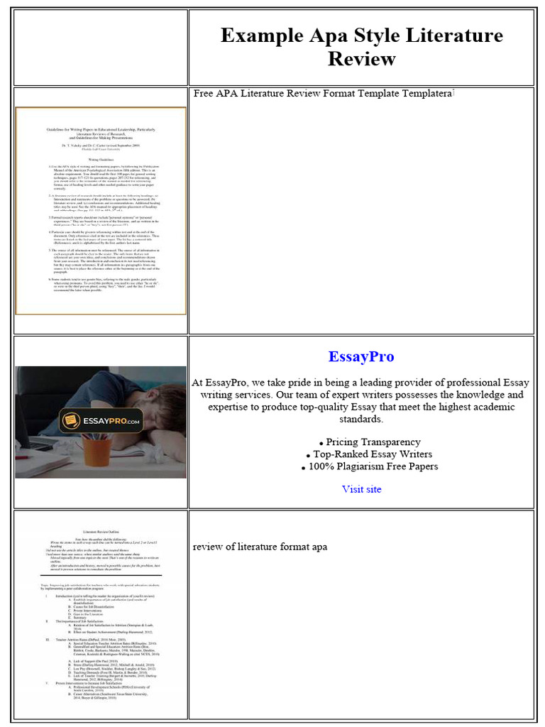 Example Apa Style Literature Review | PDF | Corporate Social ...