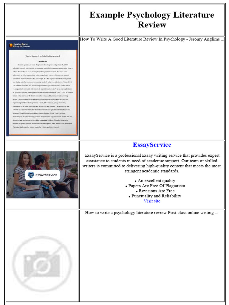 Example Psychology Literature Review | PDF | Enterprise Resource ...