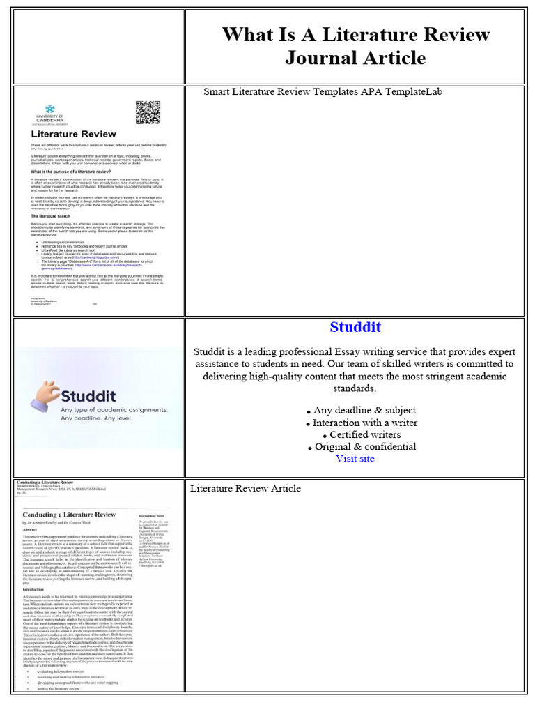 What Is A Literature Review Journal Article | PDF | Option (Finance ...