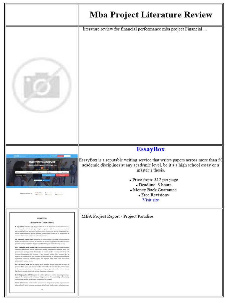 MBA Project Literature Review Guide | PDF | Human Resource Management ...