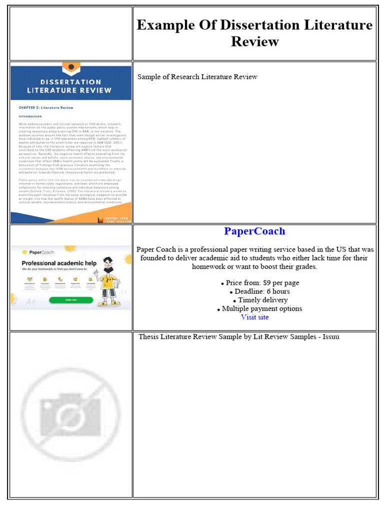 Example of Dissertation Literature Review | PDF | Thesis | Tobacco Smoking