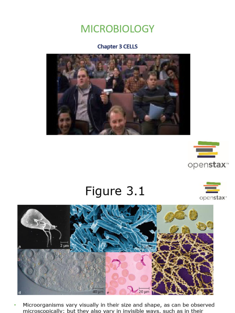 Chapter 3 - Microbiology: Cells and Life's Foundations | PDF | Cell ...