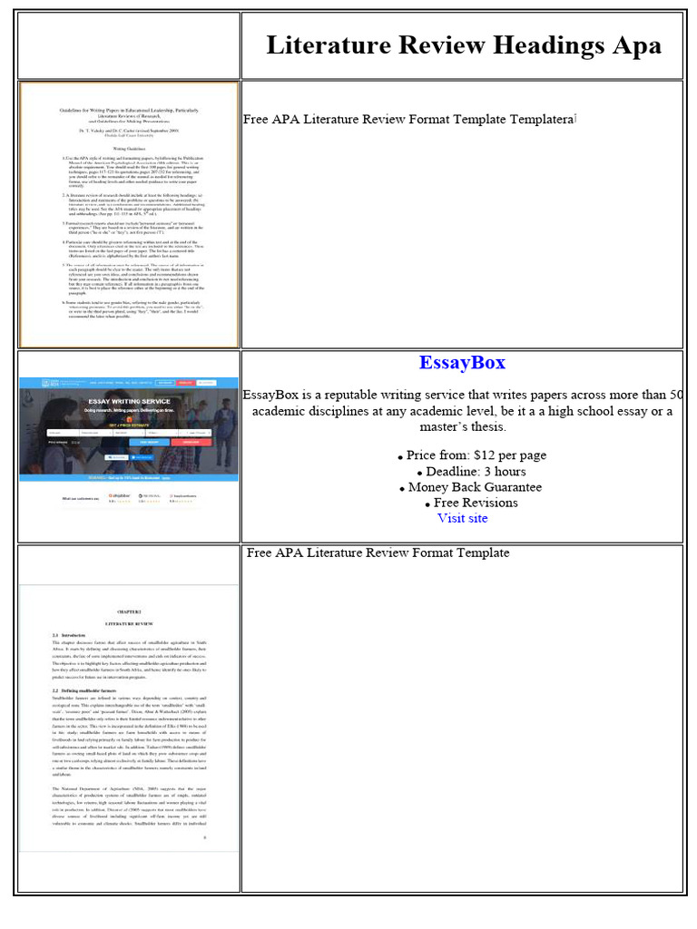 APA Literature Review Format Guide | PDF | Hybrid Vehicle | Essays