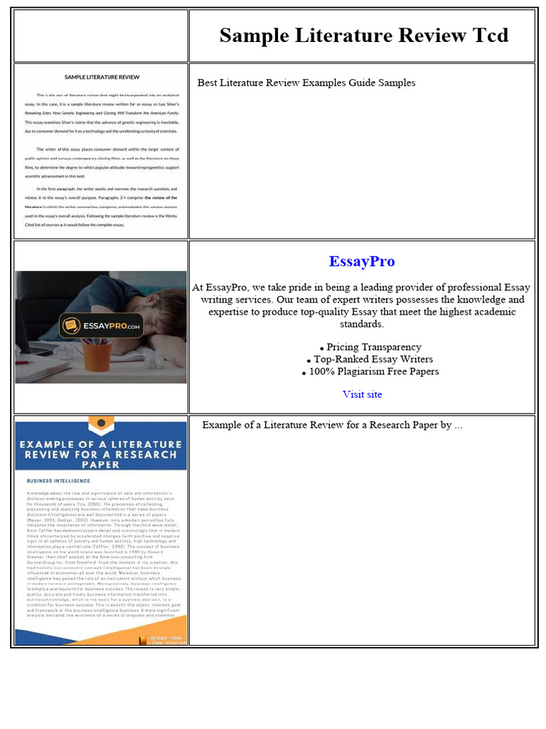 Sample Literature Review TCD | PDF | Thesis | Essays