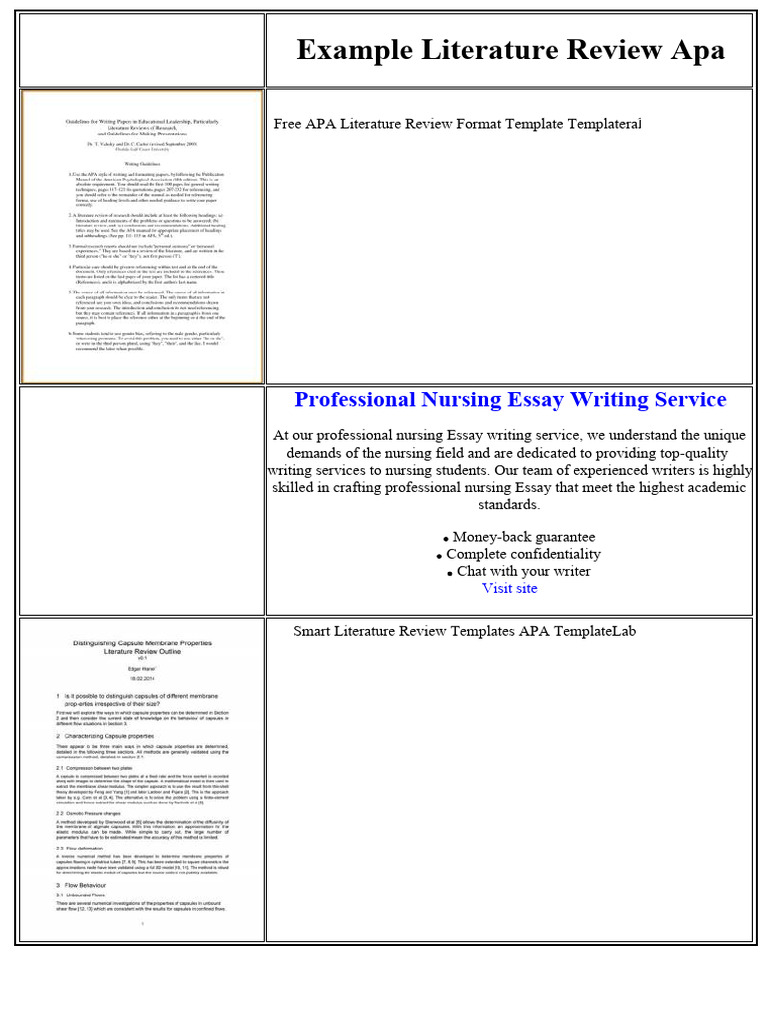 APA Literature Review Format Guide | PDF | Hepatitis | Hepatitis B