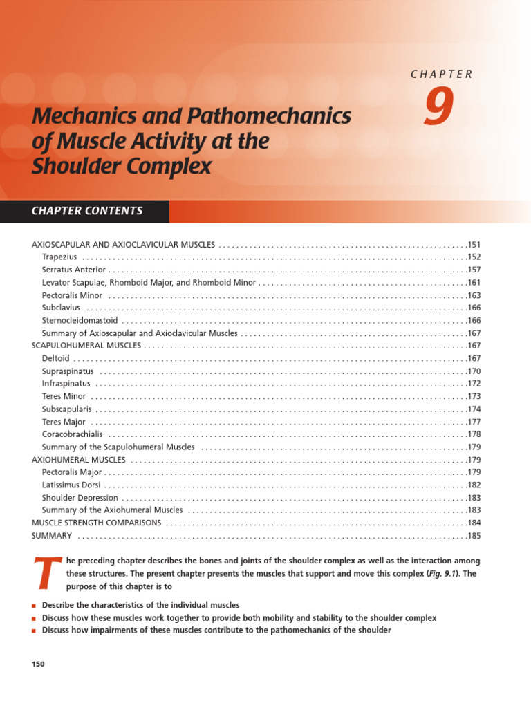 Shoulder Complex Muscle Mechanics | PDF | Anatomical Terms Of Motion ...