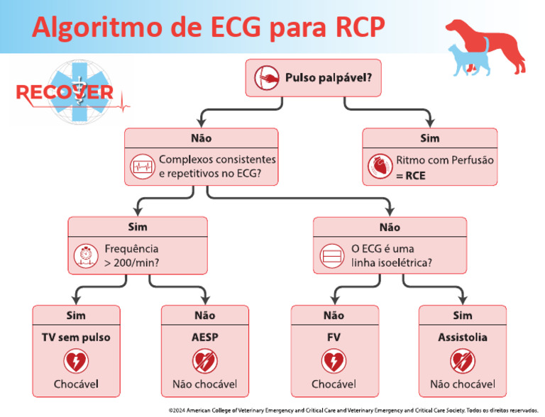 Algoritmo de ECG para RCP | PDF