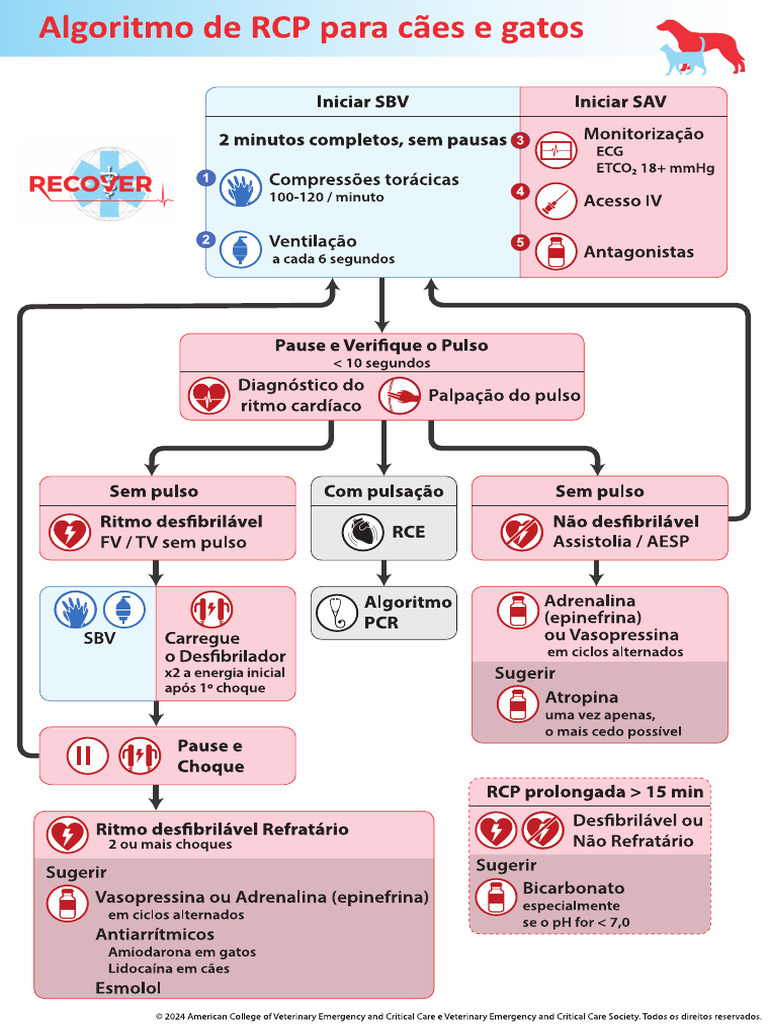 Algoritmo de RCP para Cães e Gatos | PDF