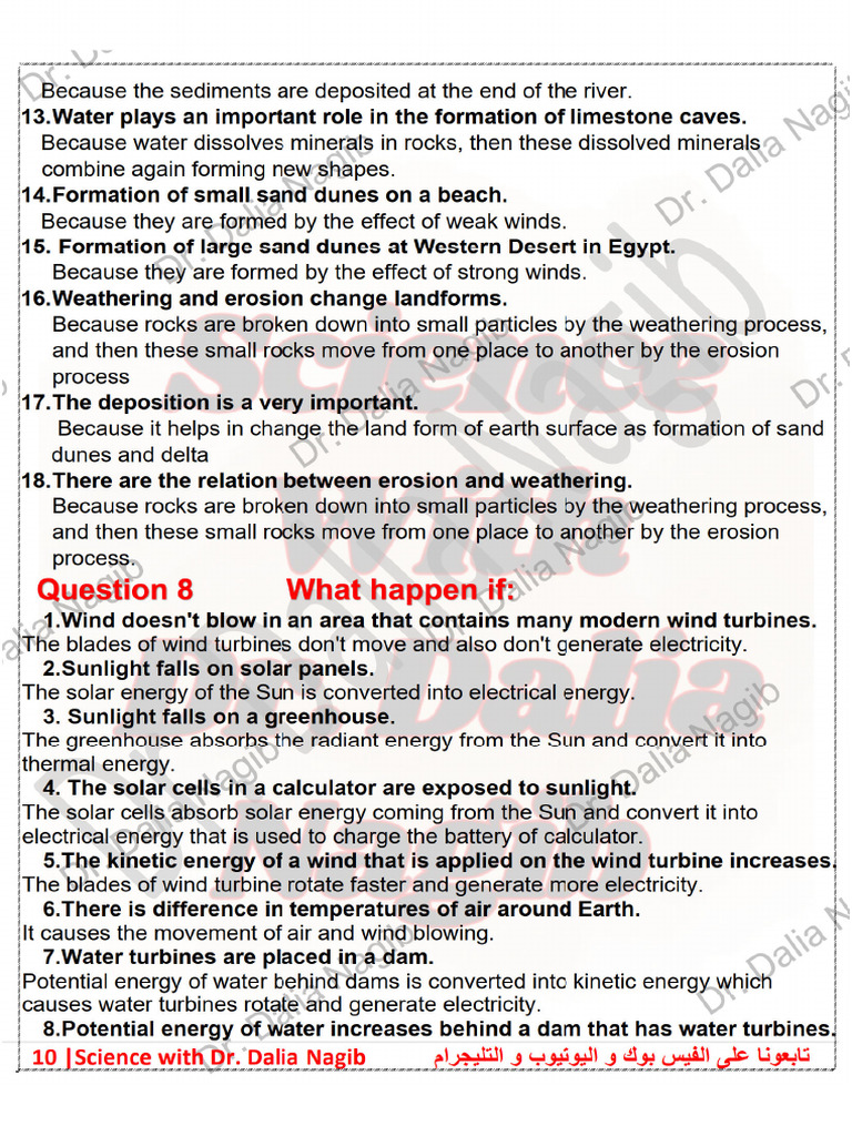 March Revision Grade 4 Science Dr. Dalia Nagib - 11 | PDF