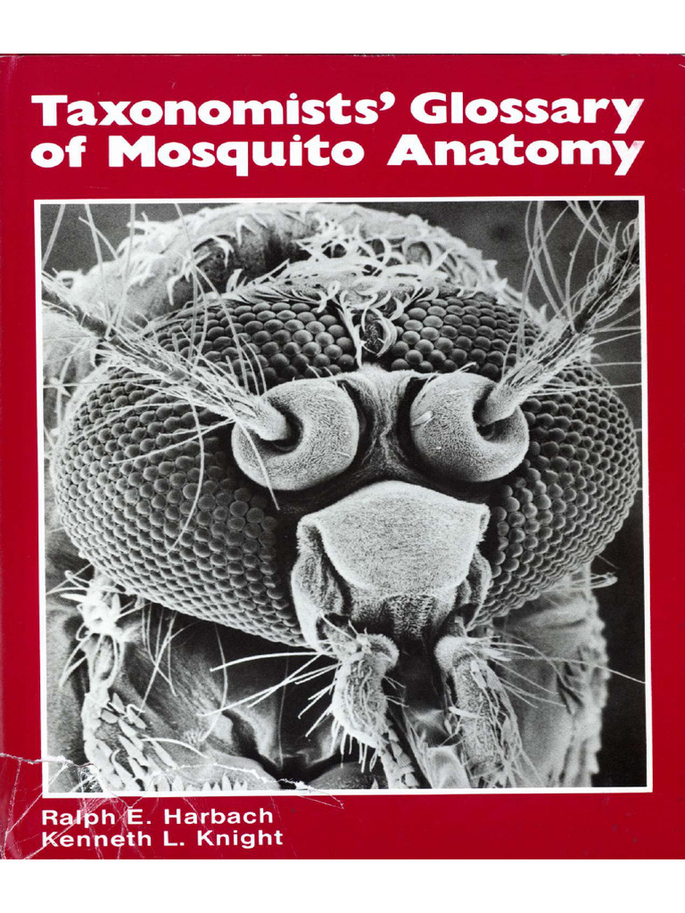Taxonomists Glossary of Mosquito Anatomy - Compressed | PDF