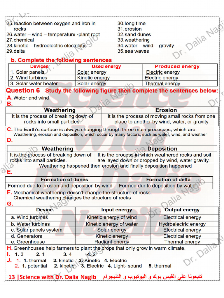 March Revision Grade 4 Science Dr. Dalia Nagib - 14 | PDF
