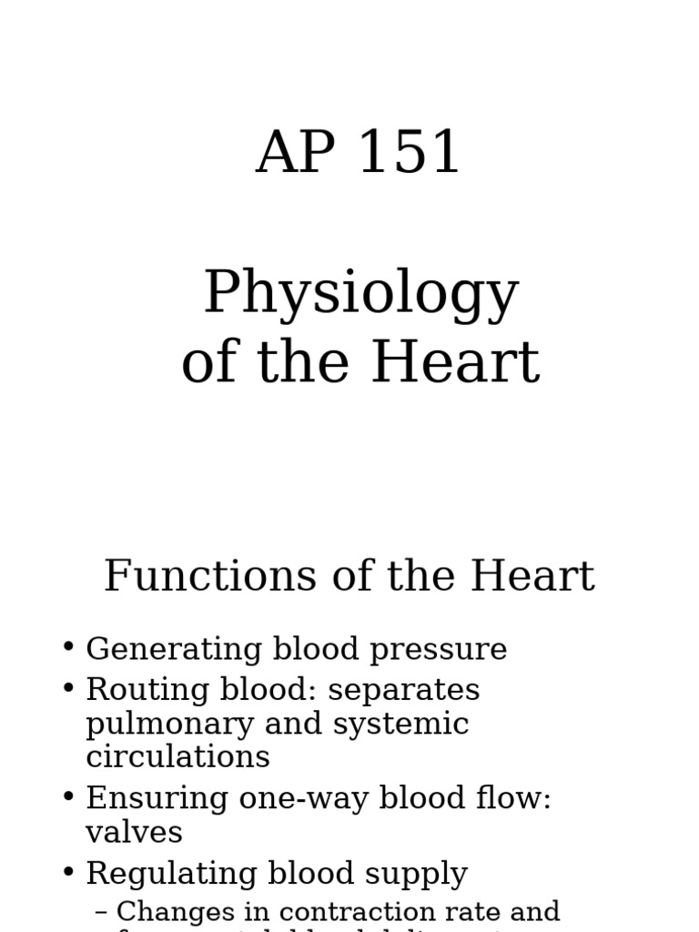Anatomy of The Heart PDF | PDF | Cardiac Muscle | Heart
