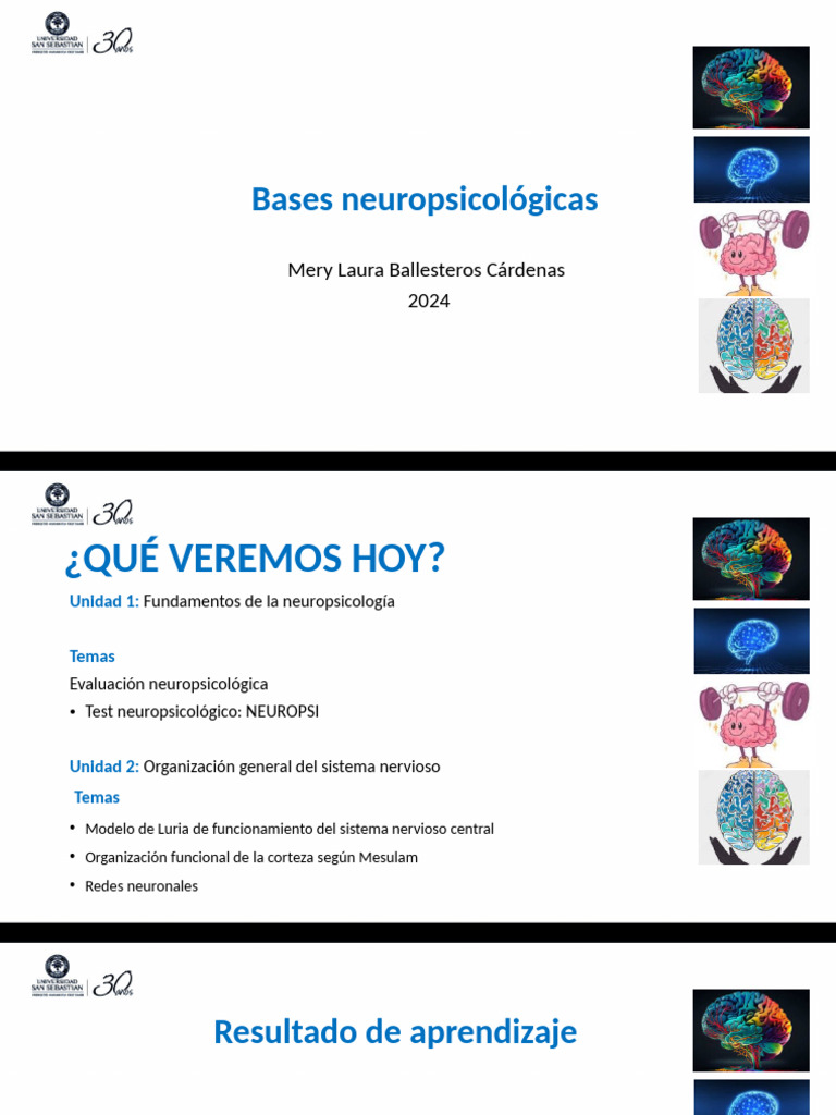 Evaluación Neuropsicológica: NEUROPSI | PDF | Memoria | Neuropsicología