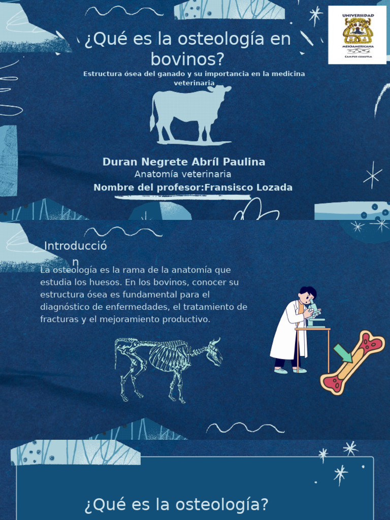 ¿Qué Es La Osteología en Bovinos?: Duran Negrete Abríl Paulina | PDF ...