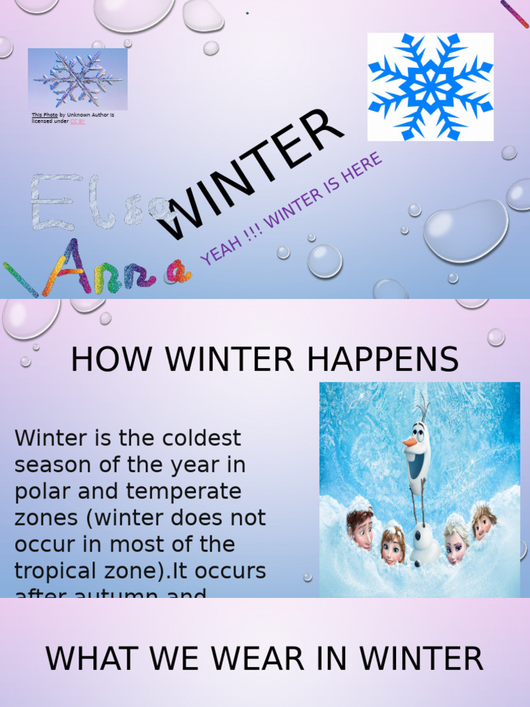 Winter Activities and Celebrations Guide | PDF