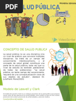 Niveles de Leavell y Clark | PDF | Asistencia sanitaria preventiva ...