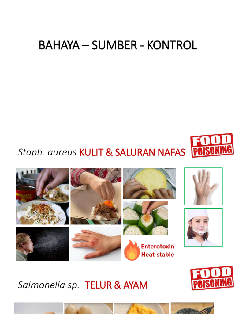 Suplemen HACCP | PDF