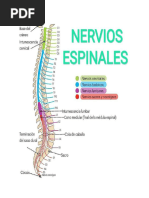 Colufase - Hoja - Informativa - Pacientes Farmacologia | PDF