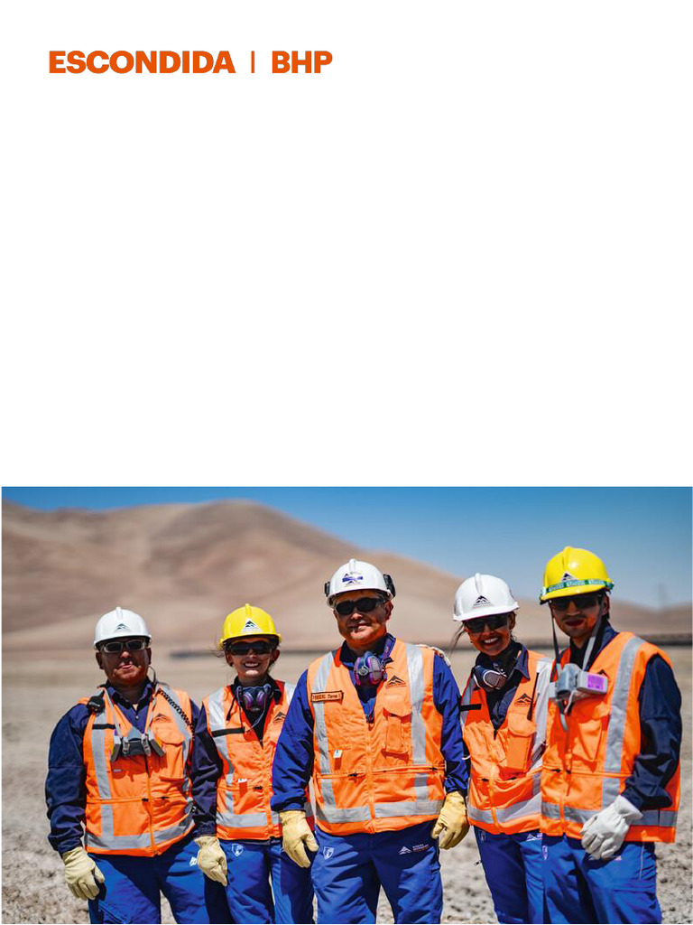 S-Hss-Hioh-001 Ver 5 Estandar de Salud | PDF | Higiene Ocupacional | Seguridad y salud ocupacional