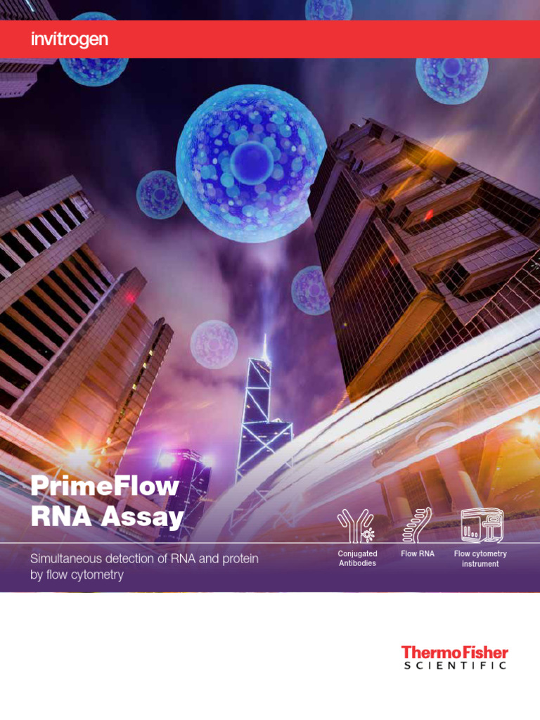 Primeflow-Rna-Assays-Brochure | PDF | Polymerase Chain Reaction | Gene Expression
