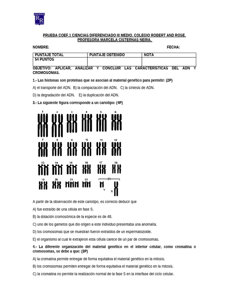Guía de Repaso Adn | PDF | Adn | Cromosoma