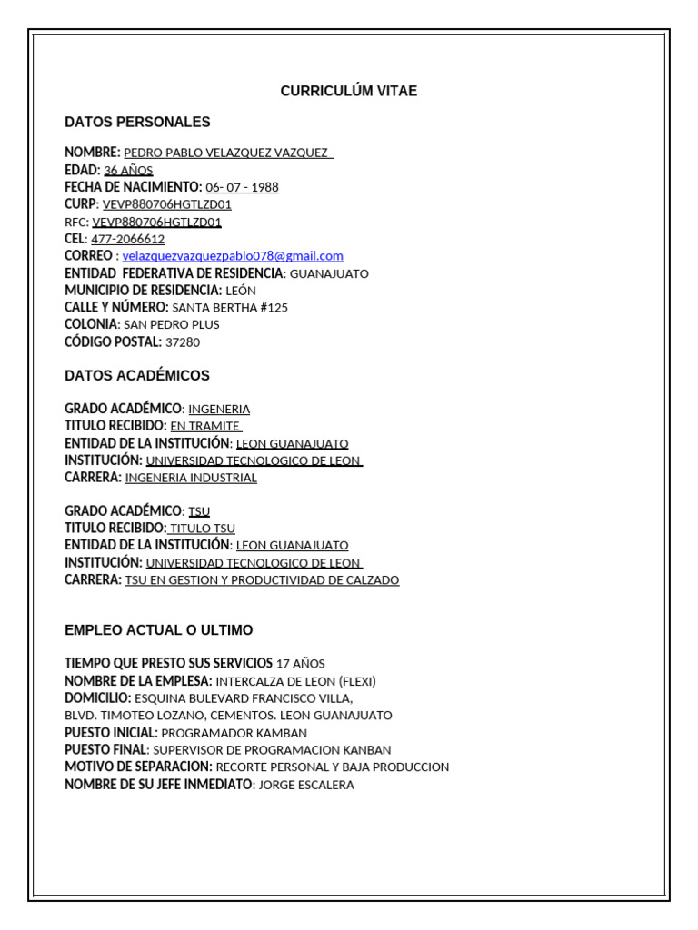 Curriculum Pablo | PDF