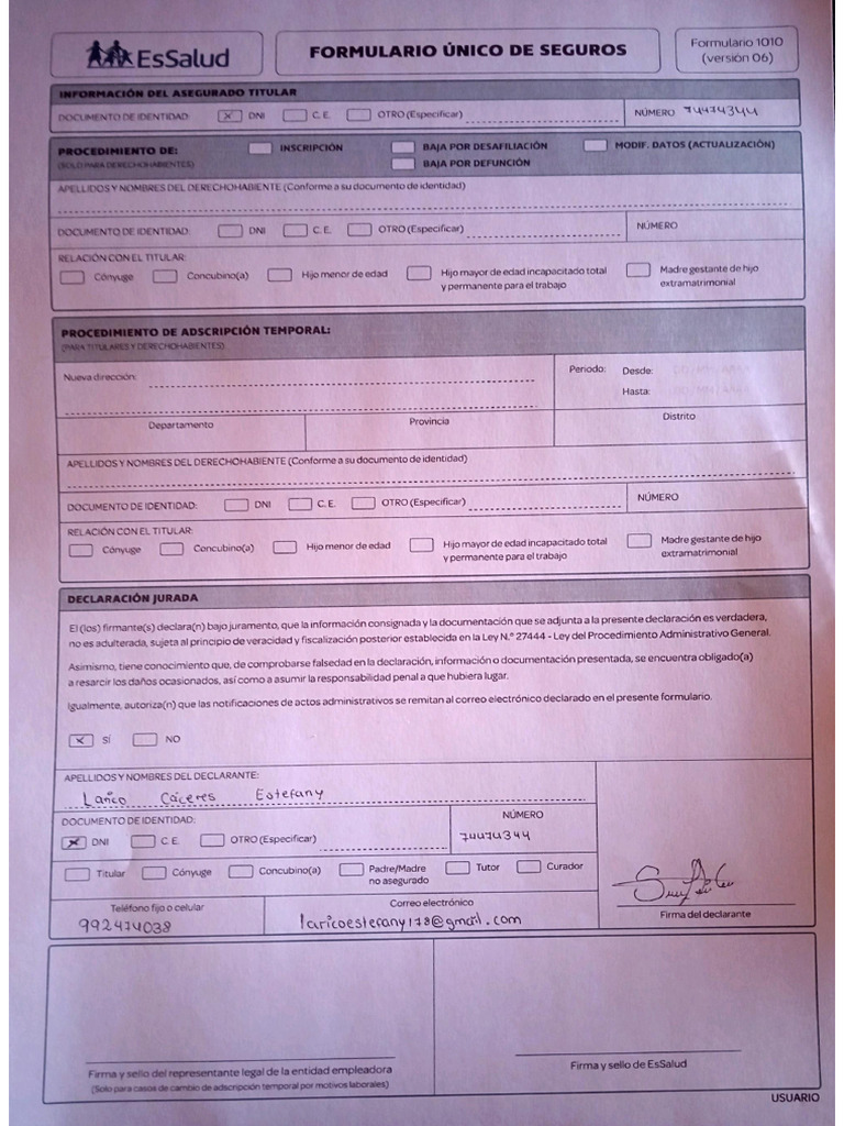 Formulario Llenado | PDF