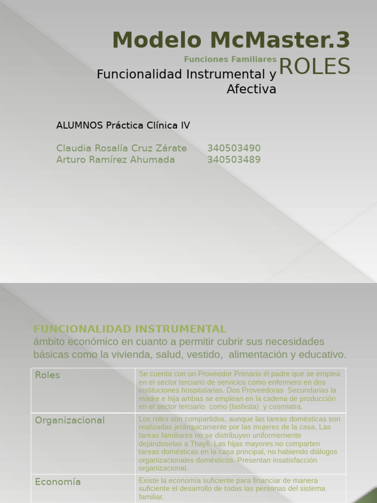 Modelo McMaster | PDF