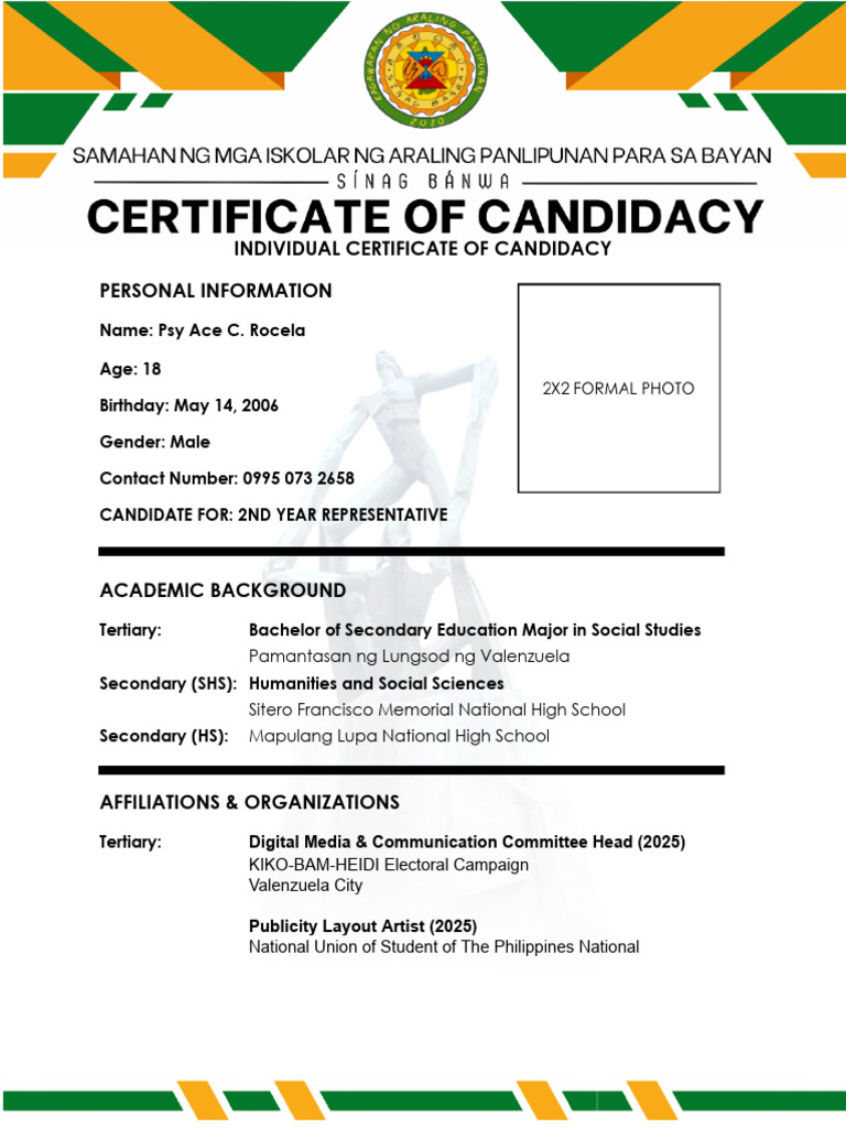 Rocela Election 2025 Coc Individual | PDF | Community | Civic Engagement