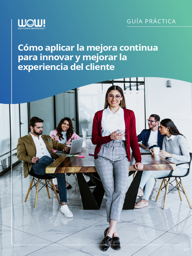 Guia Aplicar Mejora Continua | PDF | Cliente | Experiencia