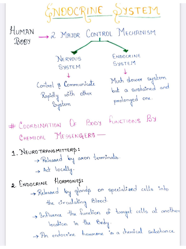 General Endocrinology | PDF