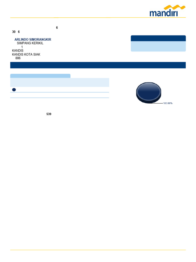 Consolidated EStatement Feb 2024 Syyy | PDF | Indonesian Rupiah | Credit Card