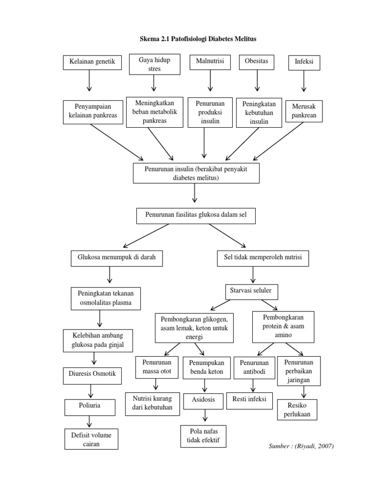 Patofisiologi DM | PDF