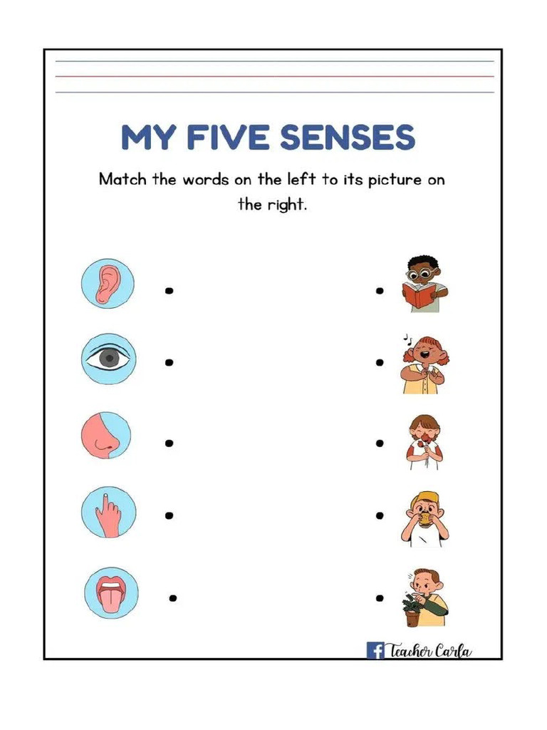Senses | PDF