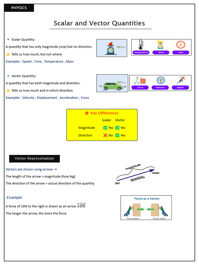 Scalar vs Vector Quantities Explained | PDF