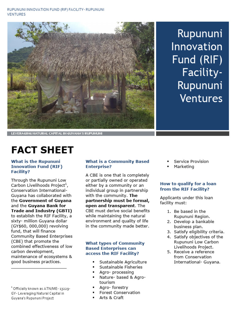 Rupununi Innovation Fund Overview | PDF | Banks | Economies