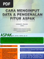 Petunjuk Pengisian ASPAK | PDF