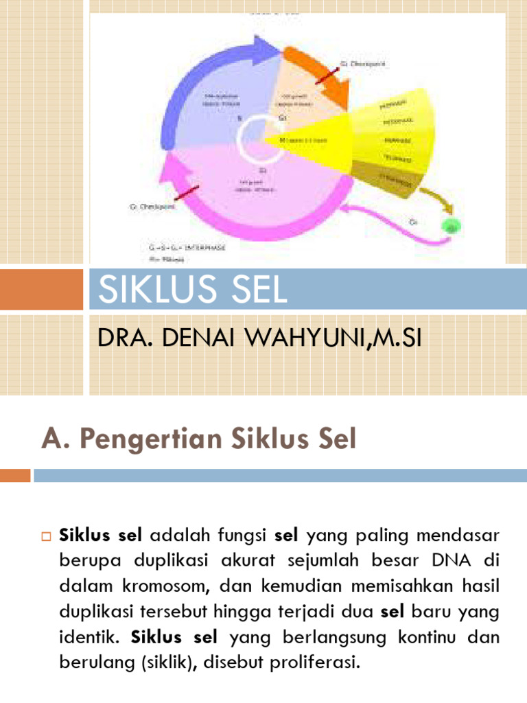 Siklus Sel | PDF