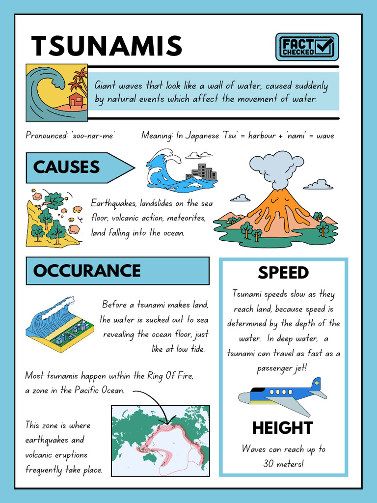 Natural Disaster Tsunami Fact Sheet Worksheet | PDF
