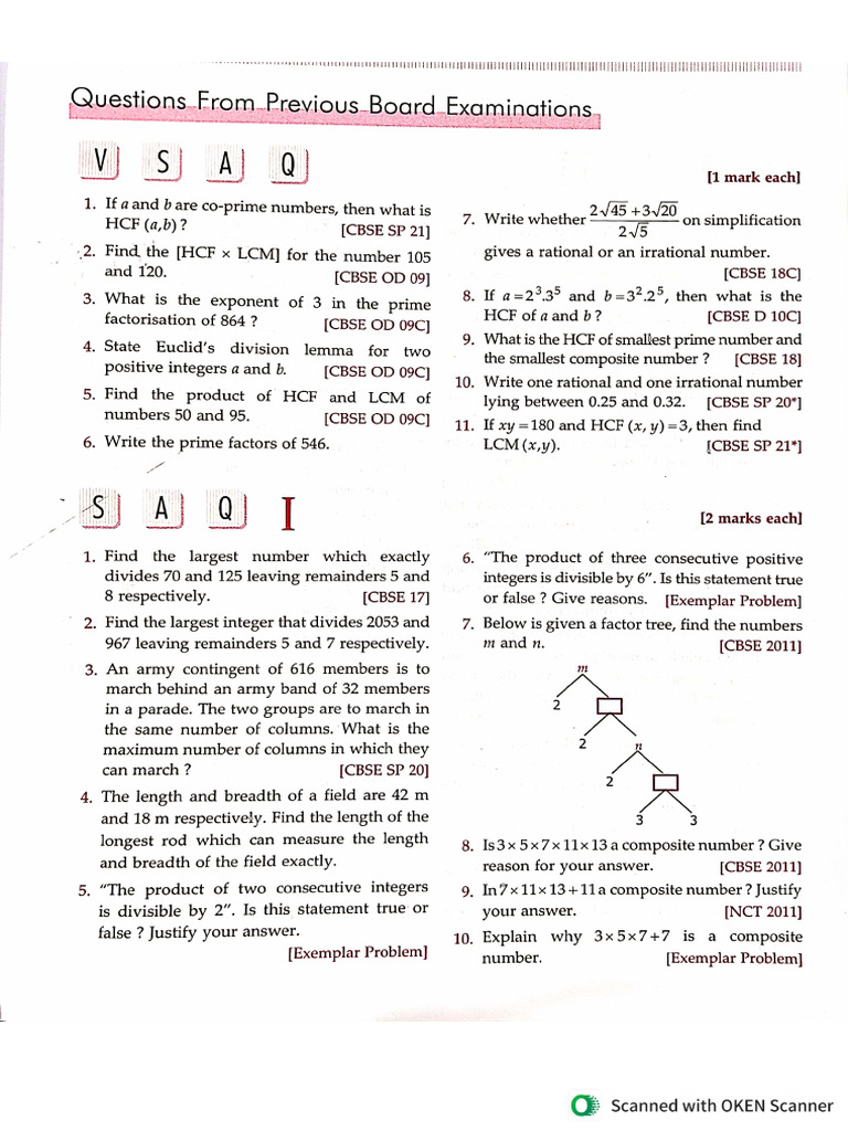 Worksheet (Class XTH) | PDF