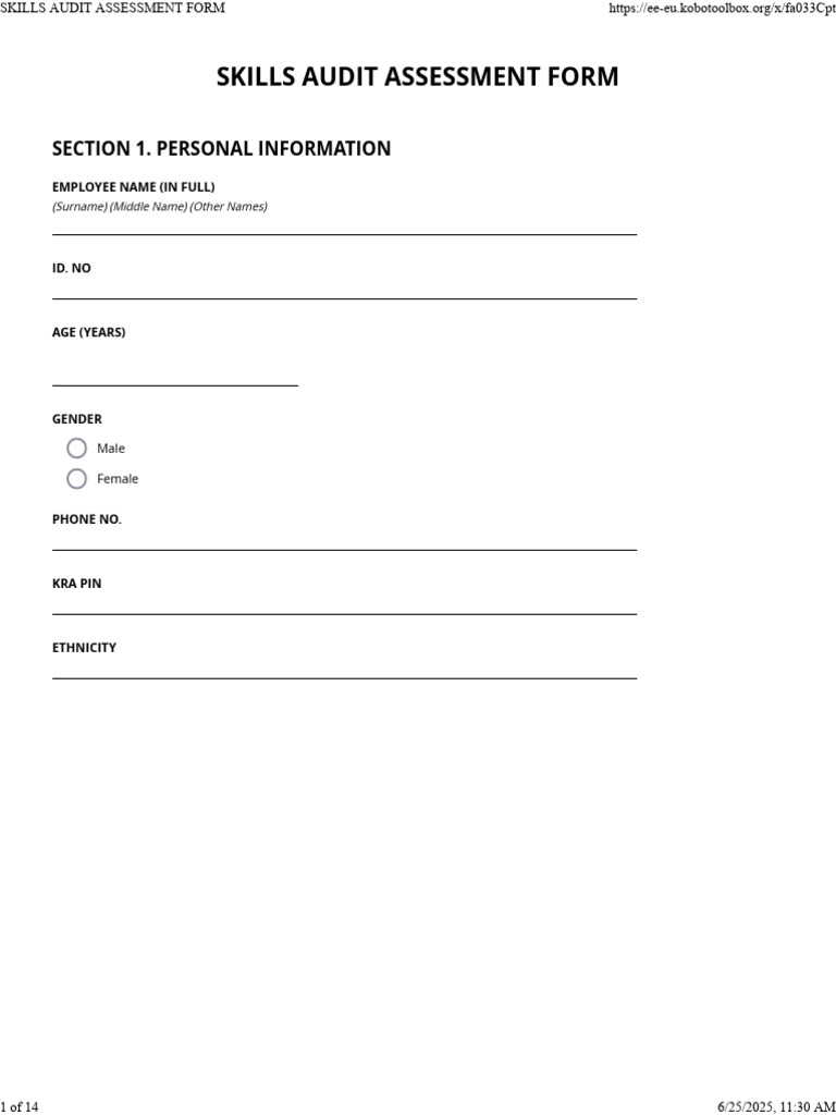 Skills Audit Assessment Form | PDF | Skill | Cognition