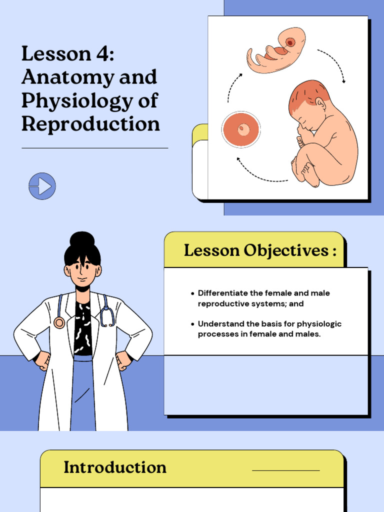 Lesson 4 Anatomy and Physiology of Reproduction | PDF | Menstrual Cycle ...