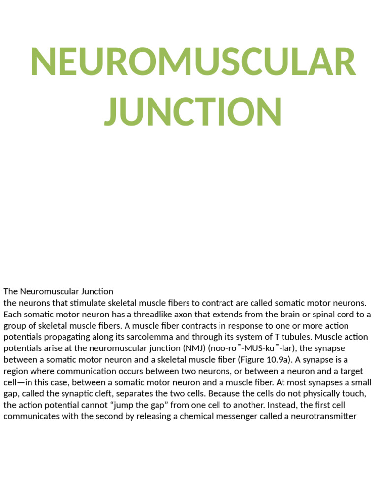 Neuromuscular Junction and Neuromuscular Transmission | PDF ...