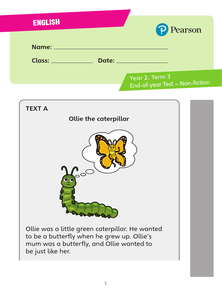 Year 2 English Comprehension Text | PDF | Butterfly | Pupa