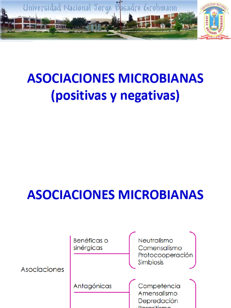 T15 Asociaciones Microbianas Positivas y Negativas | PDF | Simbiosis | Las bacterias