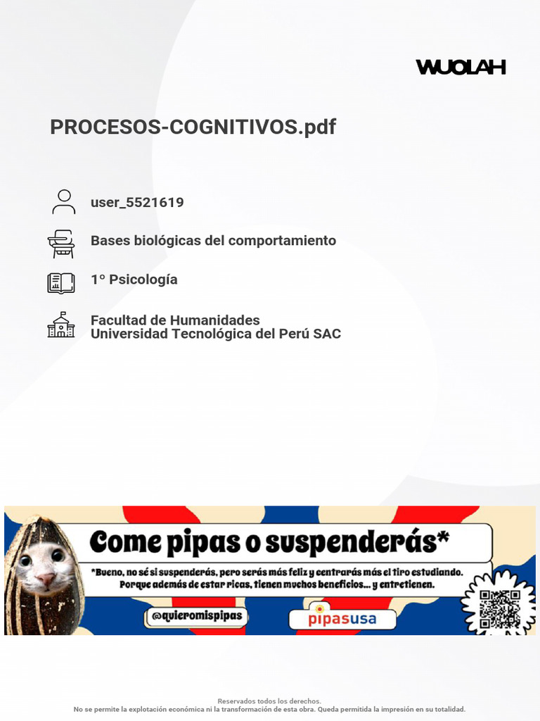 Procesos Cognitivos Pdf Cognición Percepción