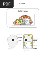 Cell Structure Questions and Revision - MME | PDF | Cell (Biology ...